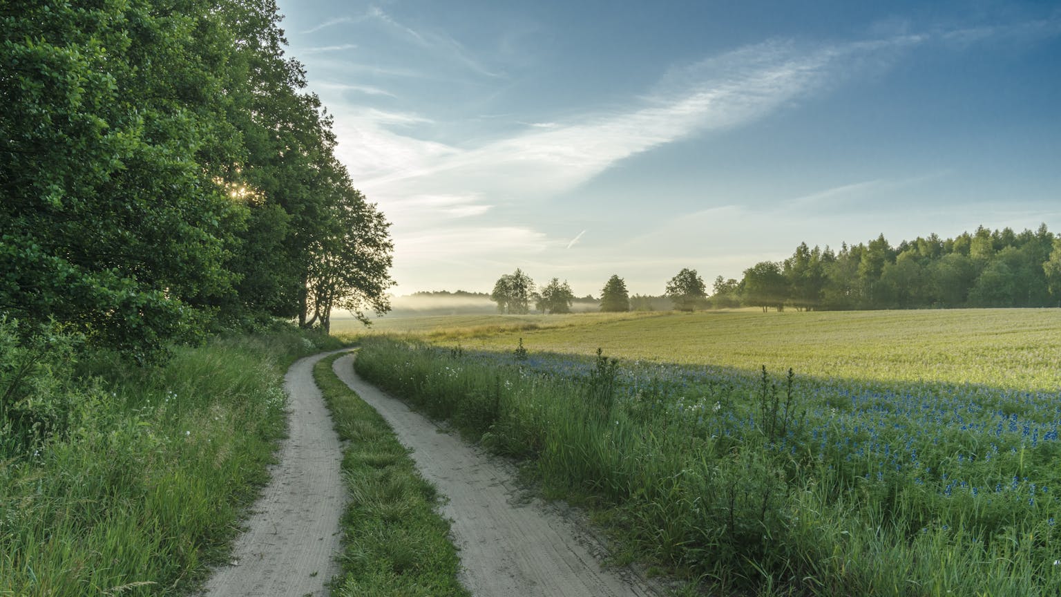 Register Land in Ghana: Complete Step-by-Step Guide