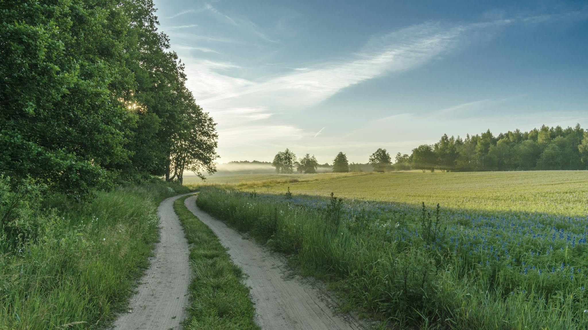 Register Land in Ghana: Complete Step-by-Step Guide